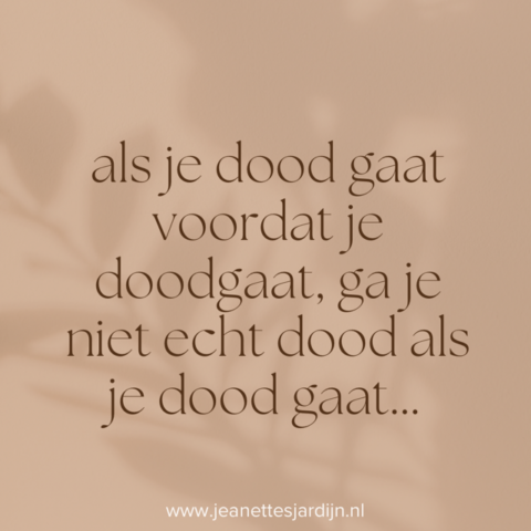 Als je dood gaat voordat je dood gaat… - Jeanette Sjardijn